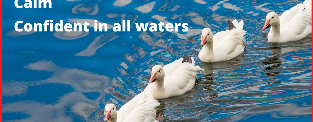 Lead Like A DUCK to Develop A Team of Leaders - Beyond Sales Tactics™